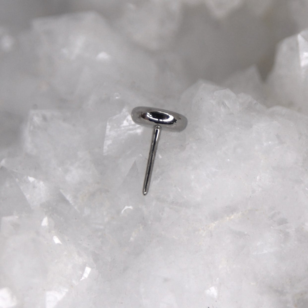 Cardiff's Body piercing Shop – Cardiff Piercing
