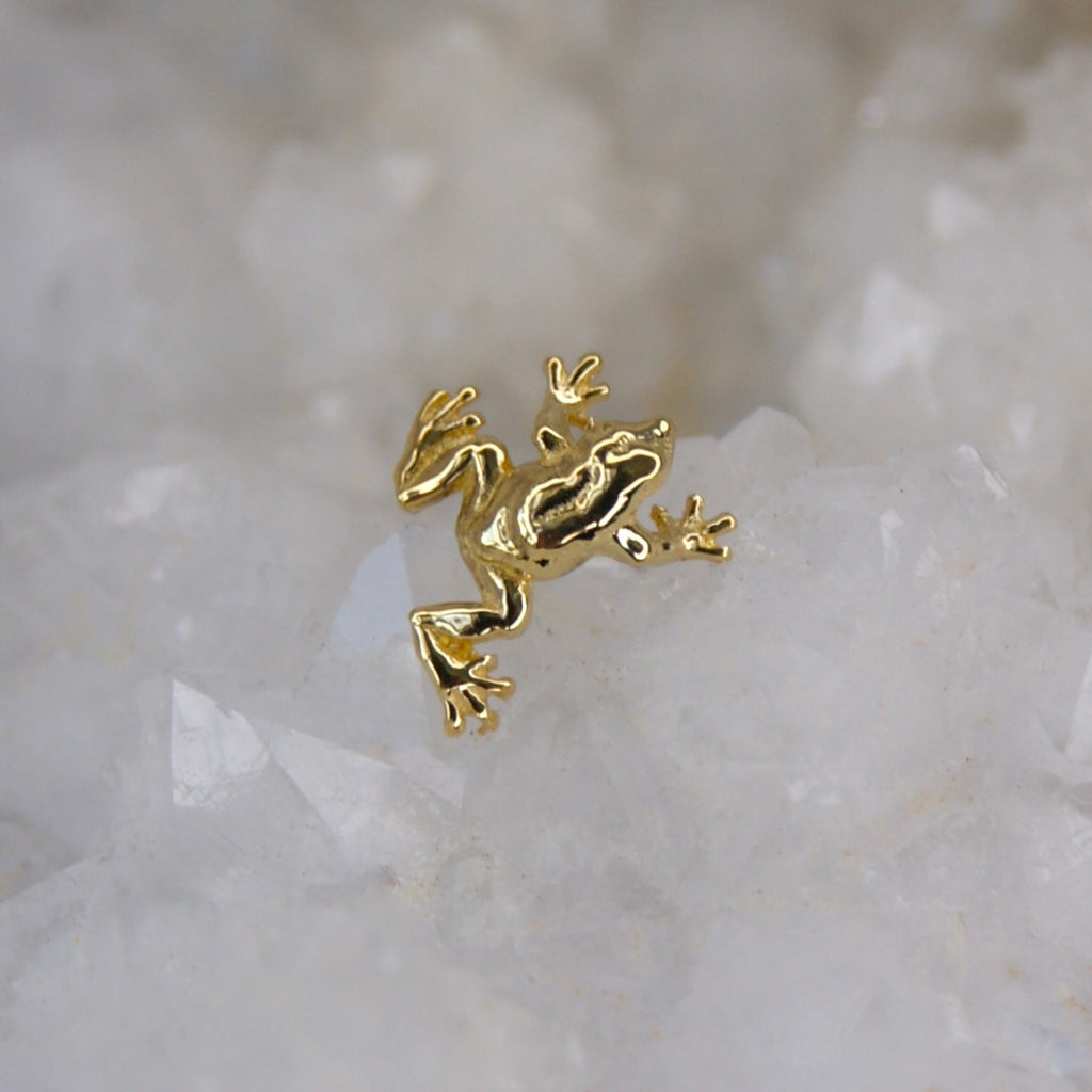 Anatometal Frog - 18k Gold Threadless End - Cardiff Piercing Premium ...