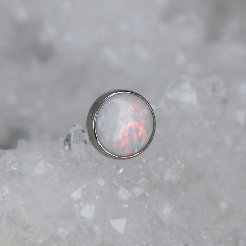 Cardiff's Body piercing Shop – Cardiff Piercing