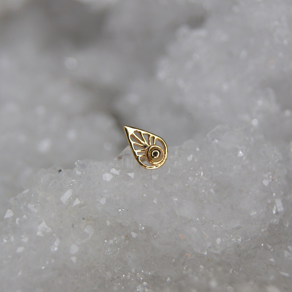 Cardiff's Body piercing Shop - Dedicated Piercing Rooms Boutique Feel ...