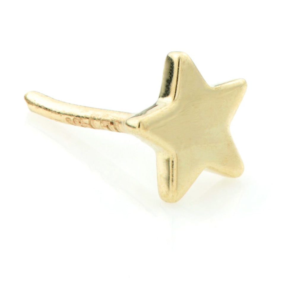 Tish Lyon - 14k Gold Star Threadless End - Cardiff Piercing Premium ...